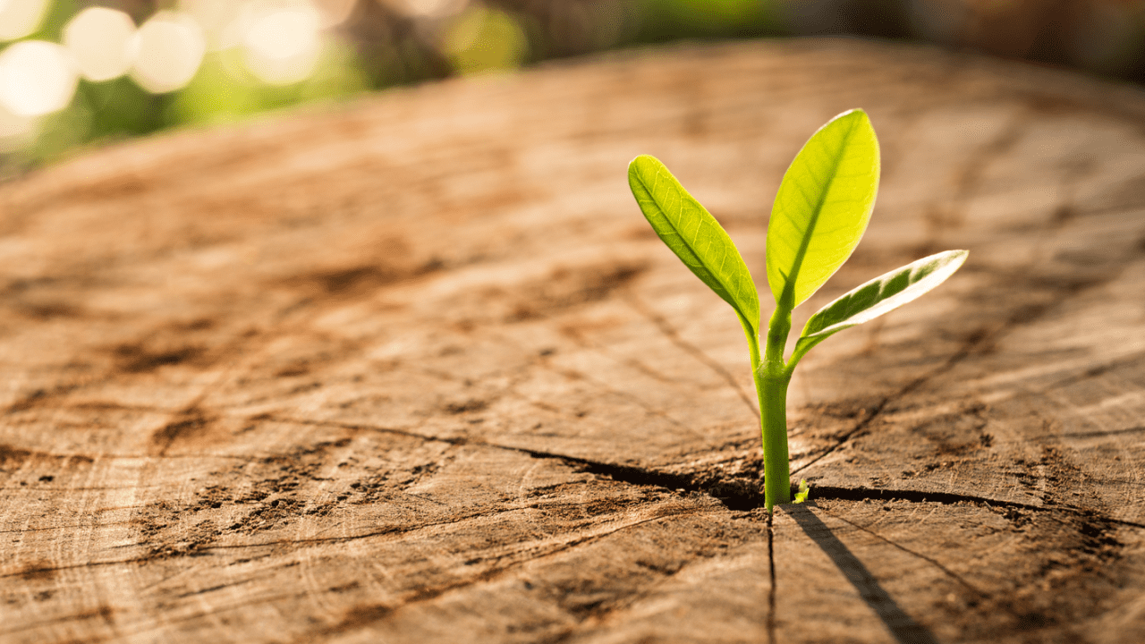 "And There Shall Be No More Death" - BYU Radio